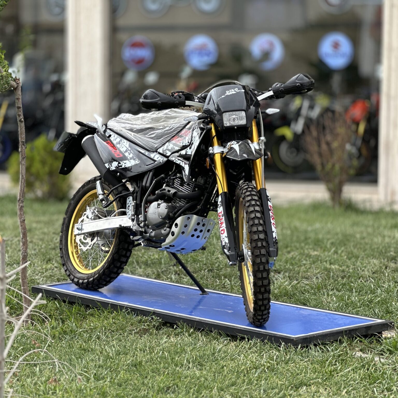 موتور سیکلت تریل دینو TR200 - موتوبرند | MOTOBRAND